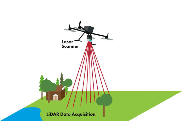Forestry Management Using LiDAR