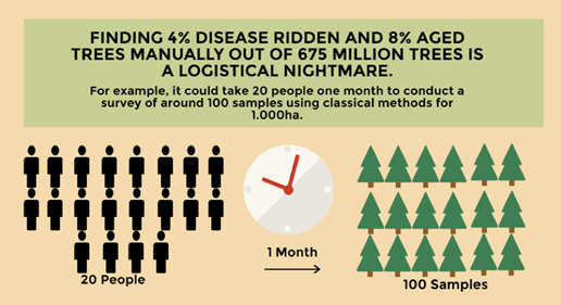 Forestry Management Using LiDAR