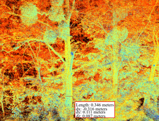 Forestry Management Using LiDAR