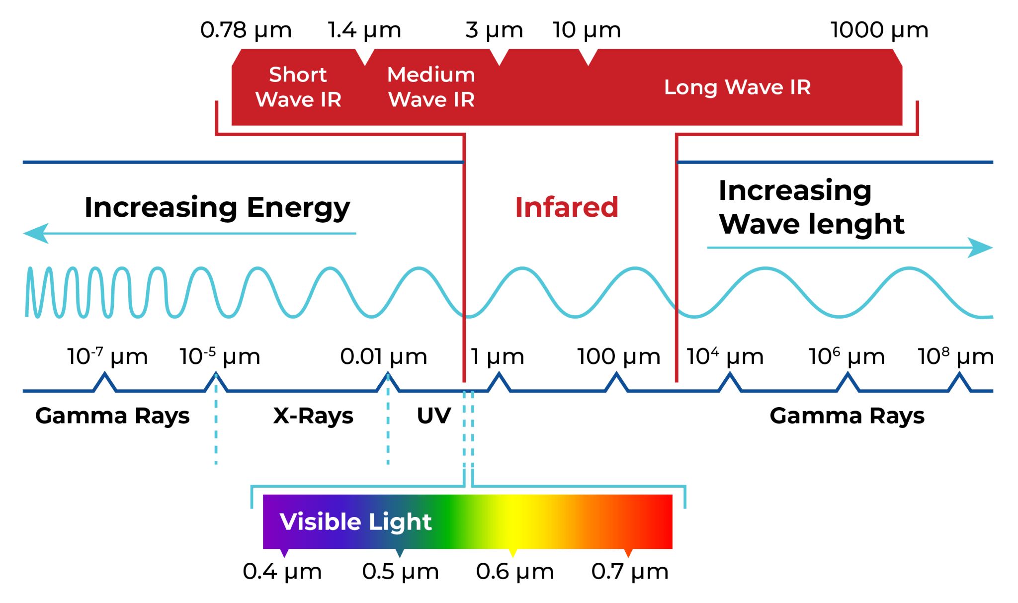 Why have 905 and 1550 nm become the standard for LiDARs?